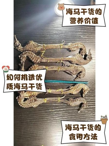 干海马怎么吃最补肾壮阳_干海马壮阳吃法大全-第1张图片-山城妙识