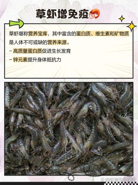 草虾多少钱一斤_草虾价格为何波动大-第1张图片-山城妙识