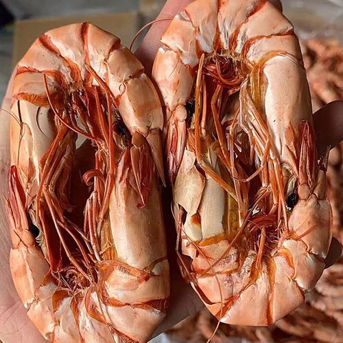 草虾多少钱一斤_草虾价格为何波动大-第3张图片-山城妙识