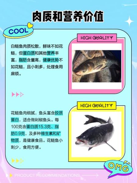 鲢鱼和鳙鱼的区别_如何一眼分辨花鲢白鲢-第1张图片-山城妙识