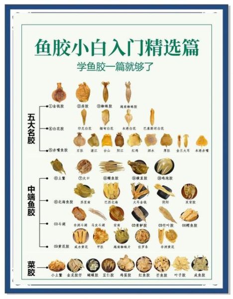 鱼鳔胶怎么吃_鱼鳔胶的食用方法-第1张图片-山城妙识