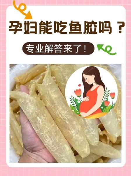 鱼鳔胶怎么吃_鱼鳔胶的食用方法-第3张图片-山城妙识
