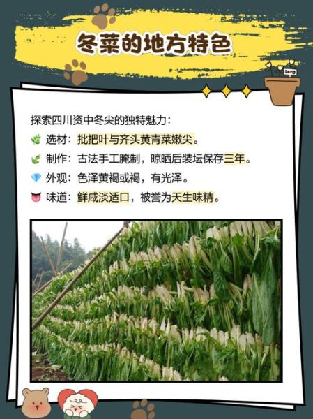 南充冬菜怎么腌制_南充冬菜腌制方法详解-第1张图片-山城妙识 南充冬菜怎么腌制_南充冬菜腌制方法详解-第1张图片-山城妙识