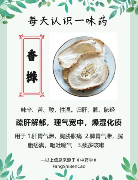 佛手香橼的功效与作用_佛手香橼适合哪些人-第1张图片-山城妙识