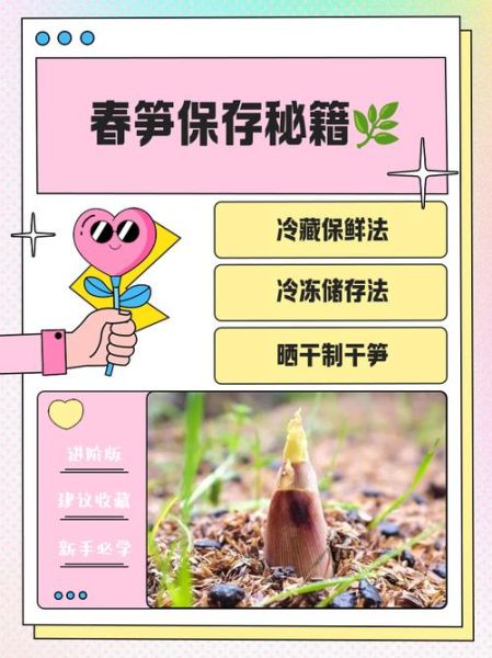 春笋怎么保存_春笋怎么焯水去涩-第1张图片-山城妙识