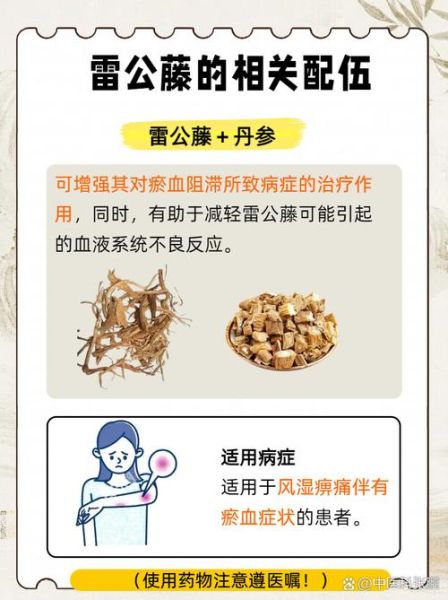 雷公藤的功效与作用_雷公藤可以长期服用吗-第1张图片-山城妙识 雷公藤的功效与作用_雷公藤可以长期服用吗-第1张图片-山城妙识