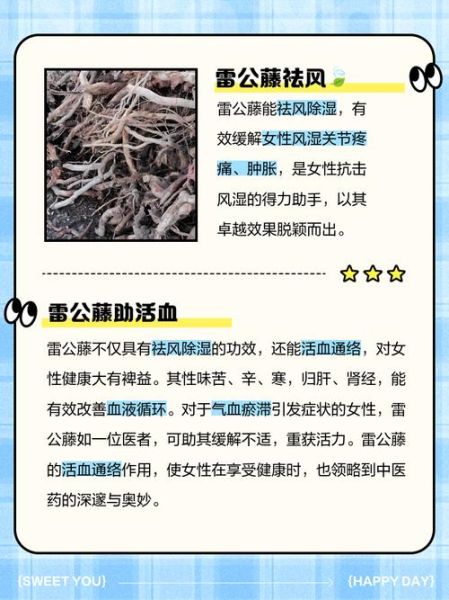 雷公藤的功效与作用_雷公藤可以长期服用吗-第2张图片-山城妙识 雷公藤的功效与作用_雷公藤可以长期服用吗-第2张图片-山城妙识