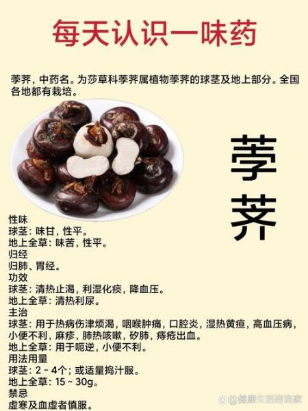 荸荠的功效与作用及禁忌_怎么吃最健康-第1张图片-山城妙识