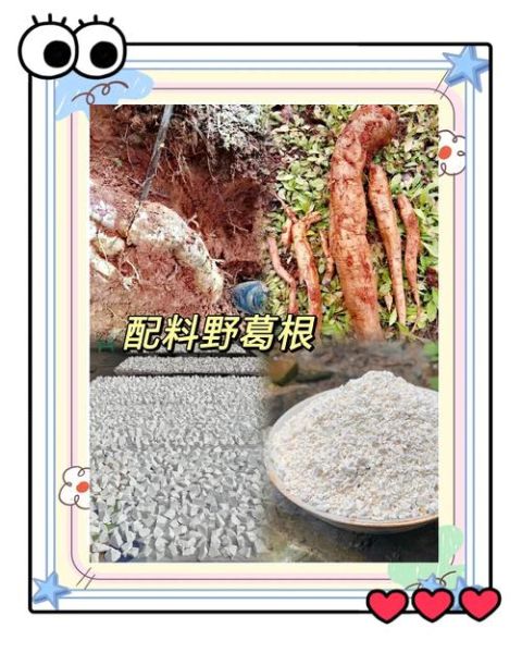 野生葛粉怎么冲泡_野生葛粉冲泡水温多少合适-第1张图片-山城妙识