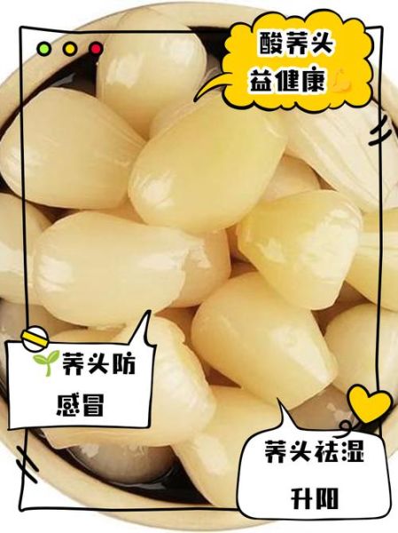 荞头的功效与作用_荞头怎么吃最健康-第1张图片-山城妙识