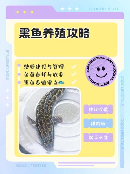 黑鱼养殖需要什么条件_黑鱼养殖水质要求-第2张图片-山城妙识