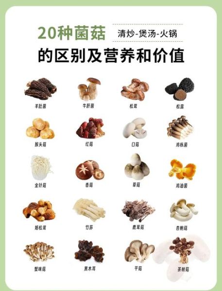 菌菇的营养价值有哪些_菌菇怎么挑选才新鲜-第2张图片-山城妙识