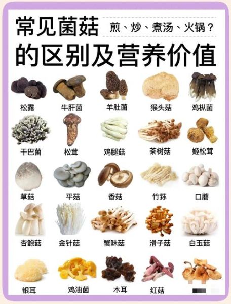菌菇的营养价值有哪些_菌菇怎么挑选才新鲜-第1张图片-山城妙识