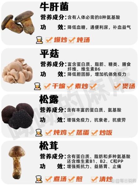 菌菇的营养价值有哪些_菌菇怎么挑选才新鲜-第3张图片-山城妙识