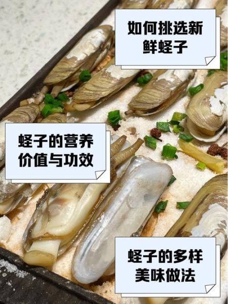 蛏子怎么烧_蛏子怎么清洗-第3张图片-山城妙识