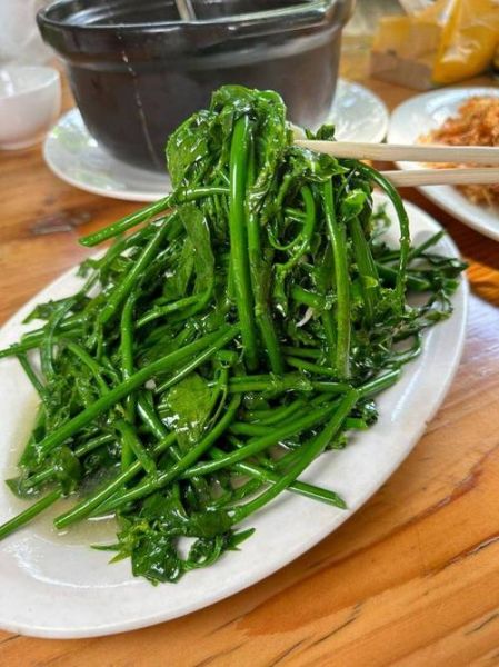 炒山野菜怎么炒好吃_山野菜做法大全-第2张图片-山城妙识 炒山野菜怎么炒好吃_山野菜做法大全-第2张图片-山城妙识