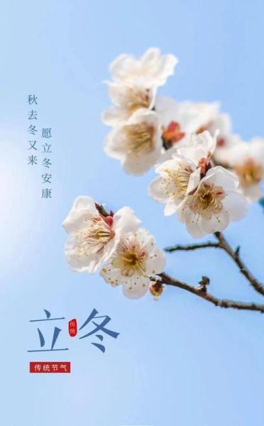 立冬唯美意境图片怎么拍_立冬意境图拍摄技巧-第3张图片-山城妙识