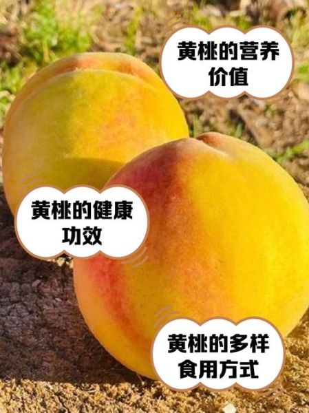 吃黄桃的好处和坏处_黄桃吃多了会上火吗-第1张图片-山城妙识