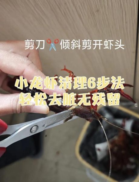 龙虾怎么清洗干净_龙虾清洗步骤-第1张图片-山城妙识