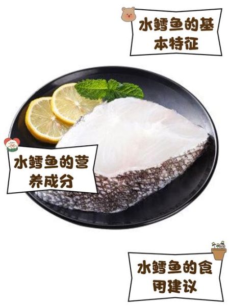 水鳕鱼是什么鱼_水鳕鱼宝宝能吃吗-第1张图片-山城妙识