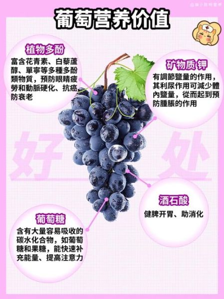葡萄的营养价值_吃葡萄有哪些好处-第2张图片-山城妙识
