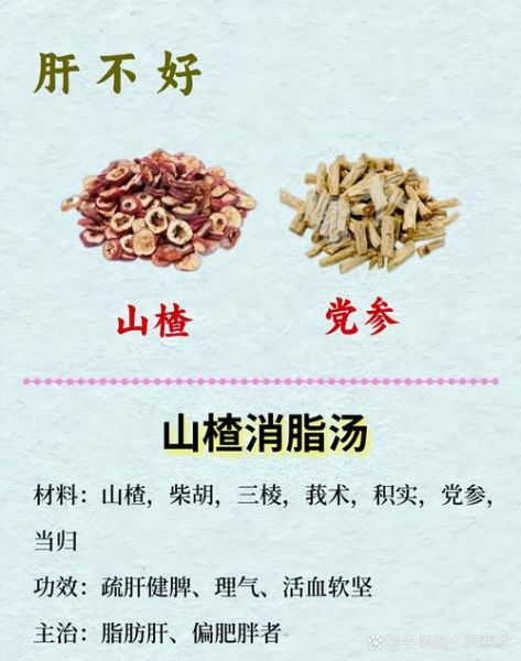 养肝护肝的中药有哪些_怎么选-第3张图片-山城妙识