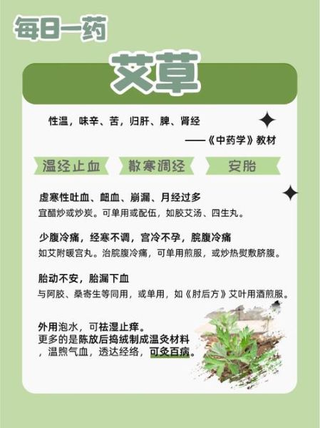 艾草的功效与作用_艾草怎么吃效果最好-第2张图片-山城妙识