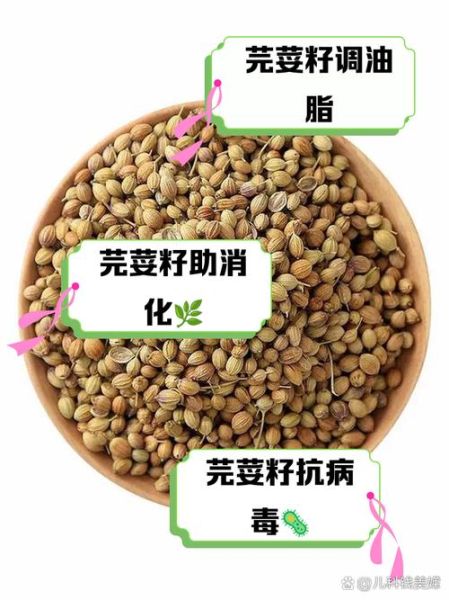 芫荽籽精油怎么用_芫荽籽精油的功效与作用-第3张图片-山城妙识