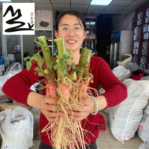 野苋菜根煲瘦肉有什么功效_野苋菜根瘦肉汤适合什么人喝-第1张图片-山城妙识