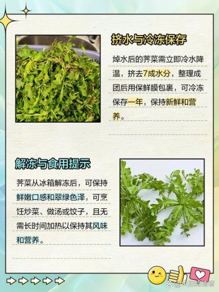荠菜什么时候种最好_荠菜怎么种才高产-第3张图片-山城妙识