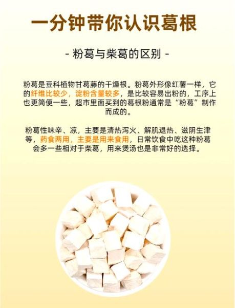 野生葛根图片_如何辨别真假-第1张图片-山城妙识