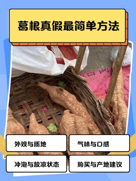 野生葛根图片_如何辨别真假-第2张图片-山城妙识