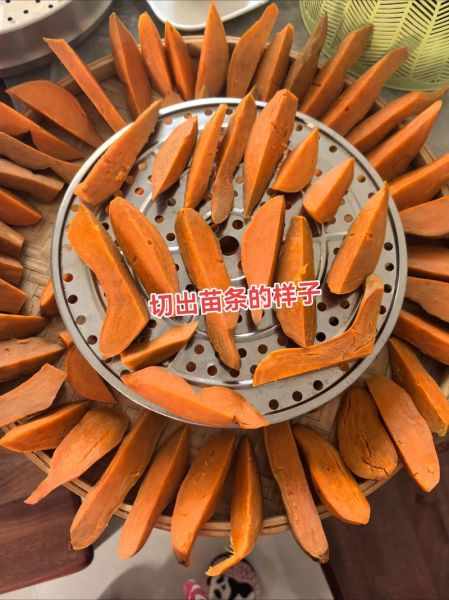 生晒红薯干怎么吃_生晒红薯干做法大全-第2张图片-山城妙识