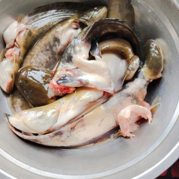 鲶鱼怎么炖好吃_鲶鱼炖多久才入味-第1张图片-山城妙识