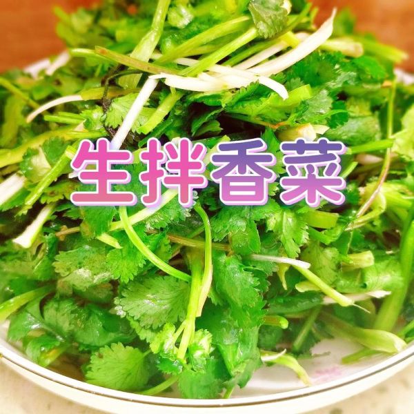 香菜怎么吃_香菜怎么凉拌才好吃-第3张图片-山城妙识 香菜怎么吃_香菜怎么凉拌才好吃-第3张图片-山城妙识