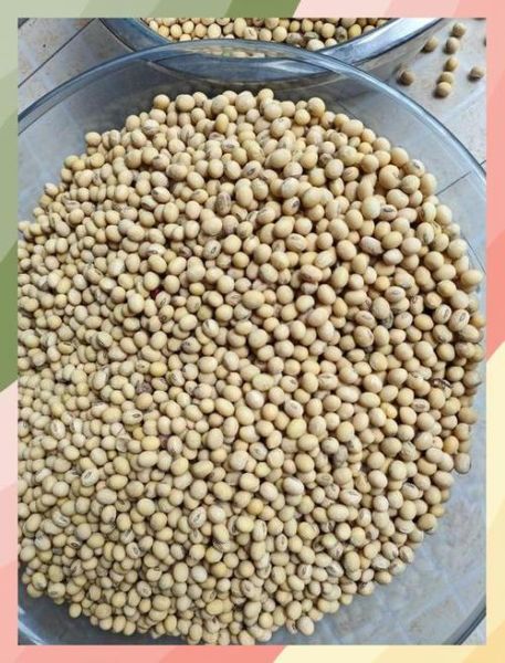 青黄豆米怎么做好吃_青黄豆米的家常做法-第3张图片-山城妙识