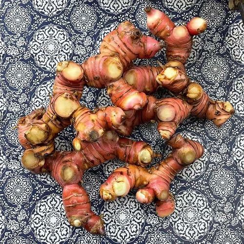 南姜是什么_南姜和生姜的区别-第3张图片-山城妙识