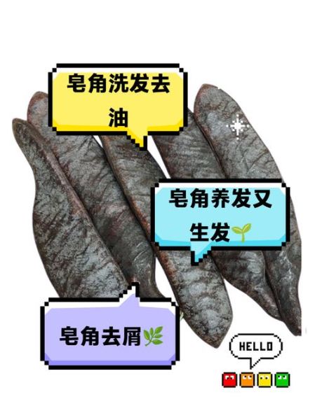 皂角怎么洗头_皂角洗头最简单的方法-第3张图片-山城妙识 皂角怎么洗头_皂角洗头最简单的方法-第3张图片-山城妙识