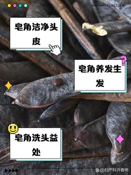 皂角怎么洗头_皂角洗头最简单的方法-第2张图片-山城妙识 皂角怎么洗头_皂角洗头最简单的方法-第2张图片-山城妙识