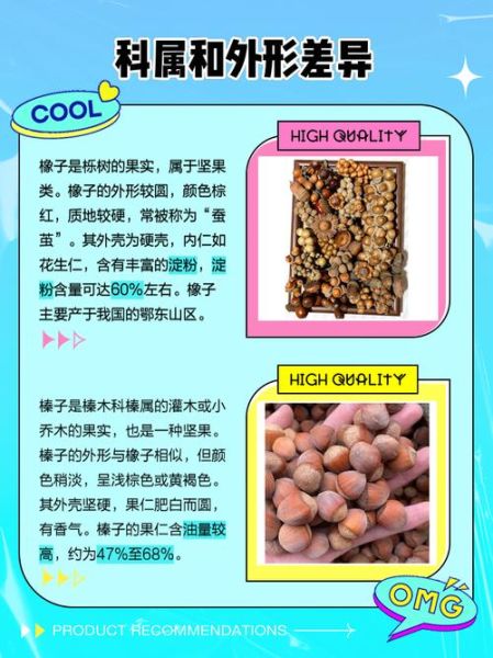 橡子和榛子的区别_哪个营养价值更高-第1张图片-山城妙识