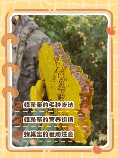 蜂巢蜜怎么吃_蜂巢蜜一天吃多少-第1张图片-山城妙识