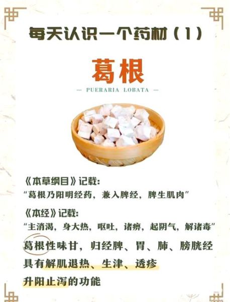 野生葛根粉吃了有什么好处_野生葛根粉的功效与作用-第2张图片-山城妙识