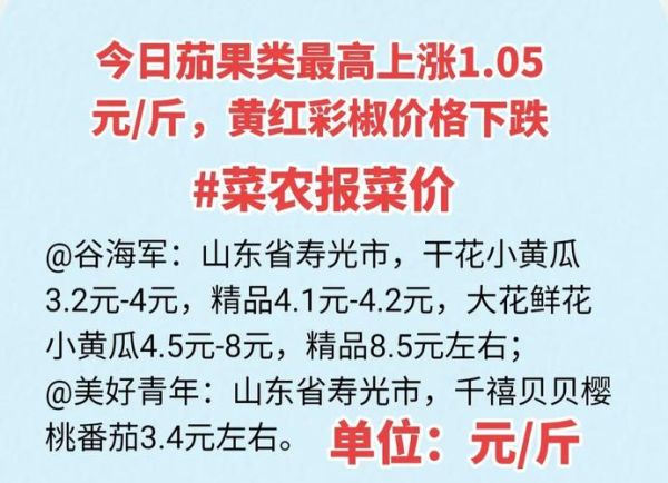 菜价上涨原因_如何应对菜价上涨-第1张图片-山城妙识