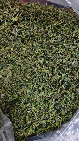 黄山毛峰属于什么茶_黄山毛峰多少钱一斤-第3张图片-山城妙识