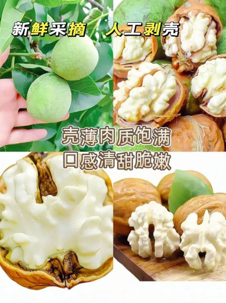 青皮核桃怎么快速去皮_青皮核桃去皮不伤手的方法-第2张图片-山城妙识