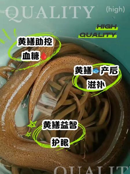 鳝鱼的功效与作用_鳝鱼的营养价值有哪些-第1张图片-山城妙识