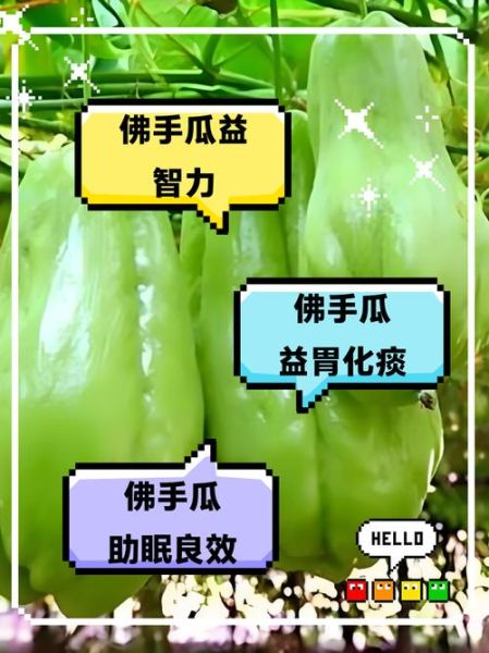 佛手果和佛手瓜的区别_佛手果佛手瓜哪个能吃-第3张图片-山城妙识