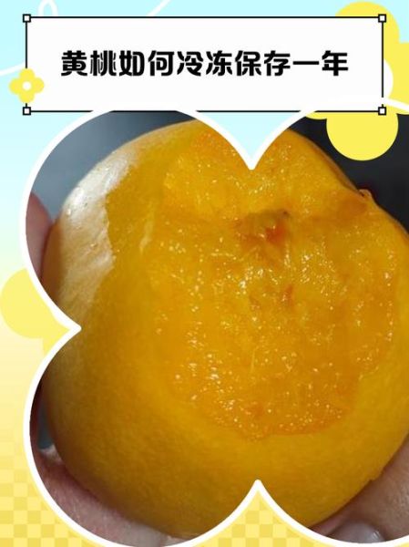 黄桃可以放冰箱吗_黄桃冷藏的正确方法-第1张图片-山城妙识