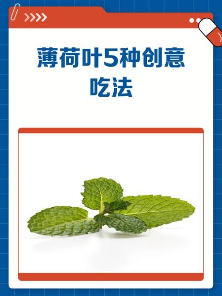 薄荷怎么吃_薄荷的做法大全-第3张图片-山城妙识