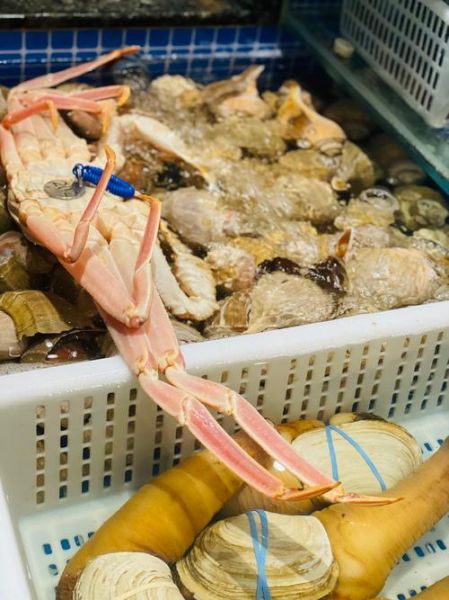 象拔蚌是什么意思_网络用语象拔蚌梗来源-第3张图片-山城妙识